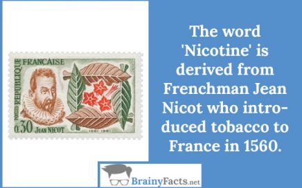 Random Facts : World record | did you know