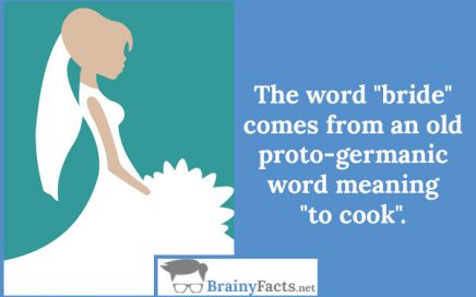 Heart Facts | Did you know