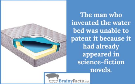 Random Facts : World record | did you know